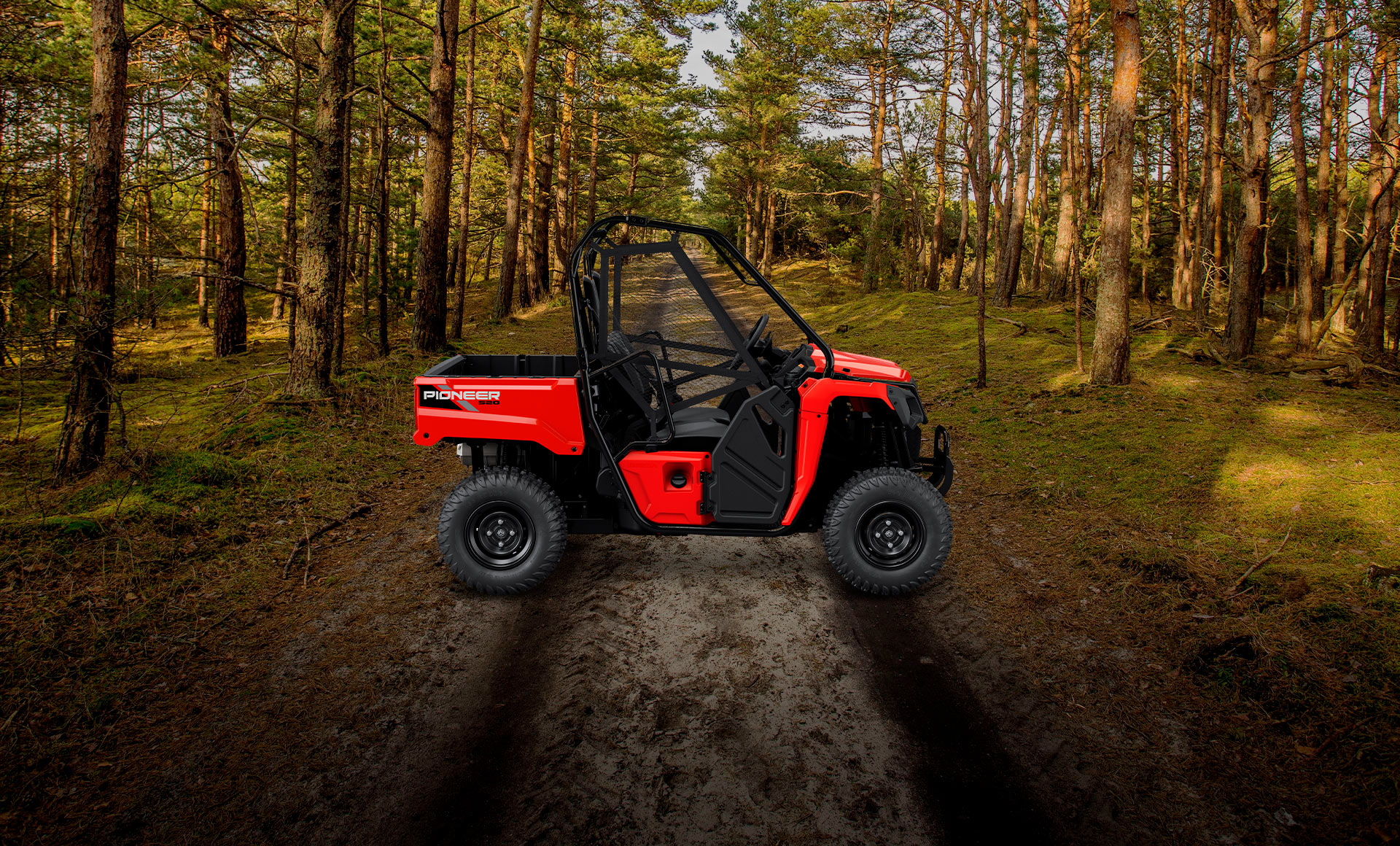 PIONEER 520